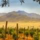 Arizona Backcountry Discovery Route (AZBDR) Map & Information