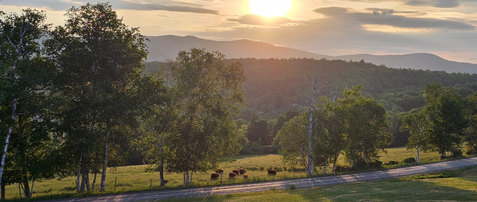 North East Backcountry Discovery Route (NEBDR) Map & Information